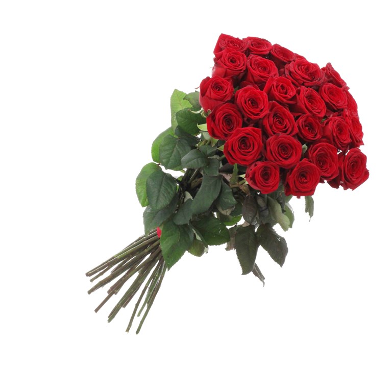 Ruby Red Roses Bunch