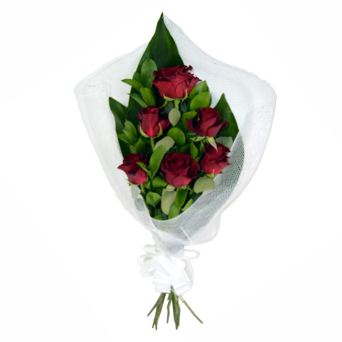 6 Red Roses in Wrap