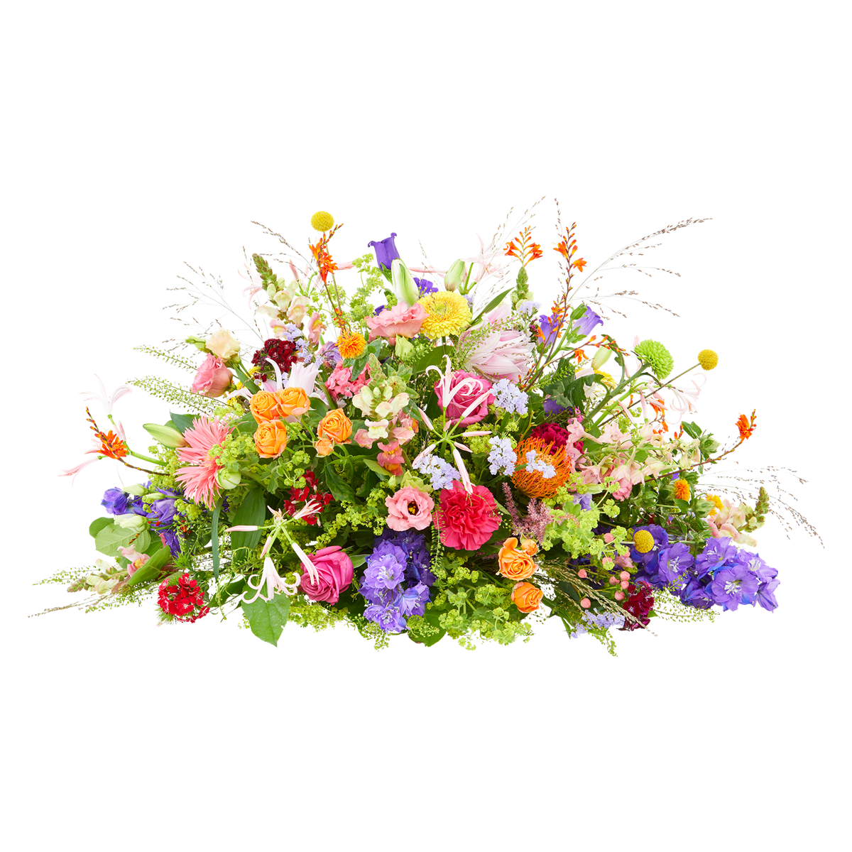 Funeral - Colour splendor